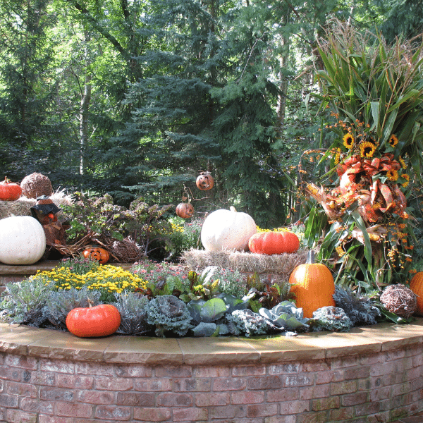 Cultivate Autumn Charm: Six Fall Landscaping Ideas for Curb Appeal ...