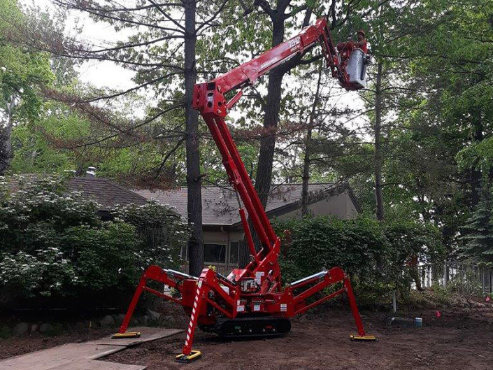 Tree Removal | Tree Planting Services Milwaukee | American Landscape