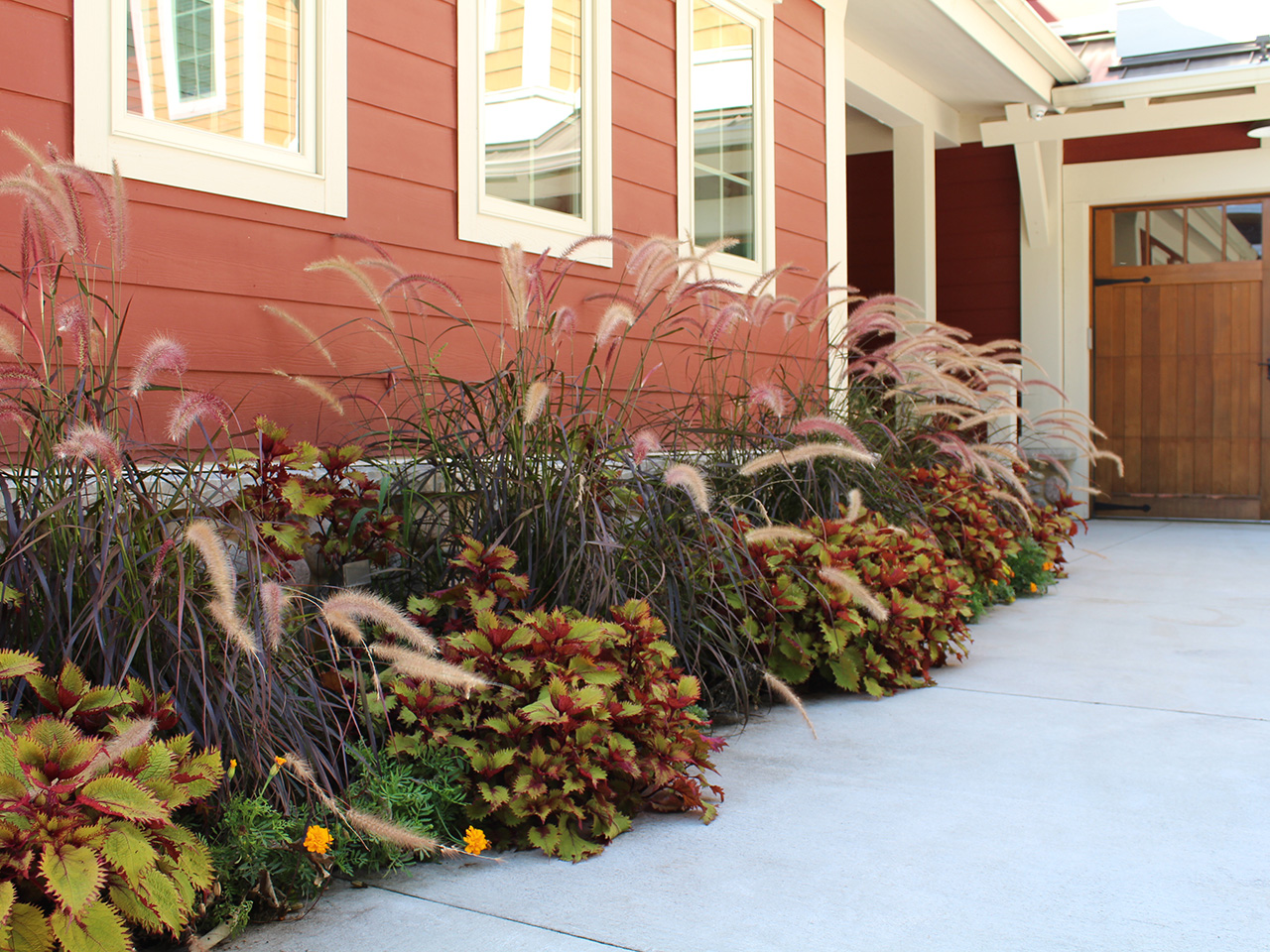 Planted Softscapes | American Landscape