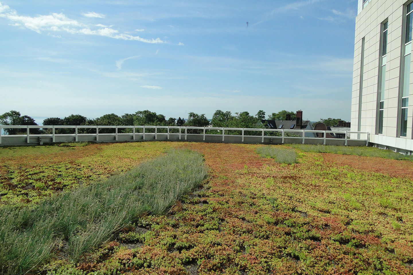 Sustainable Solutions | American Landscape