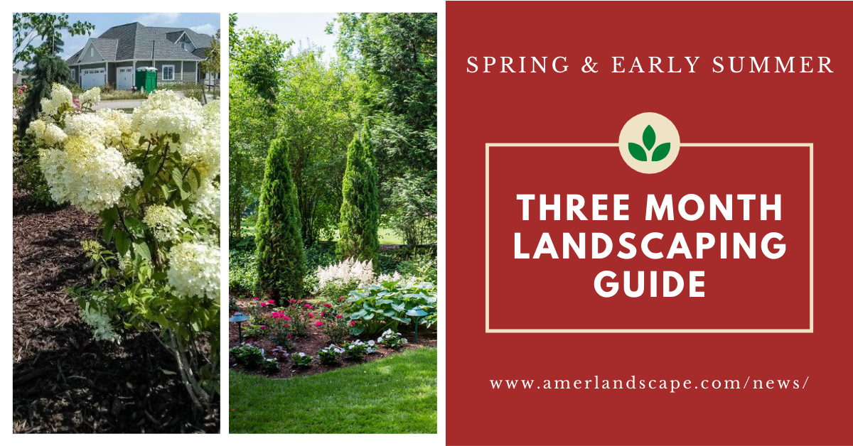 Three Month Landscaping Guide | American Landscape