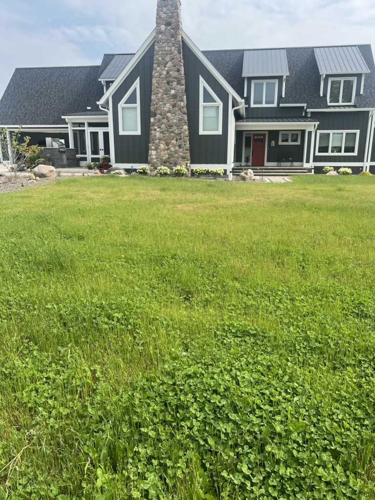 Sustainable Landscaping – American Landscape