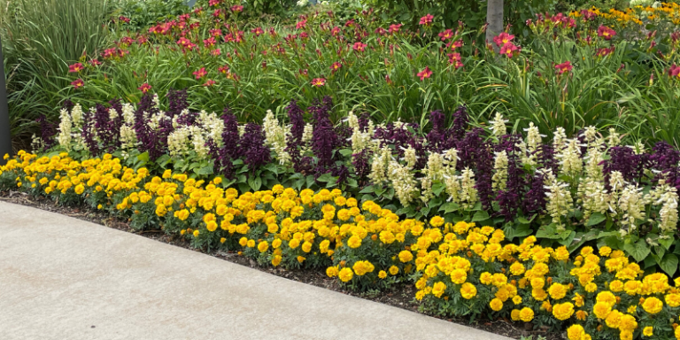 May Landscaping Tips | American Landscape