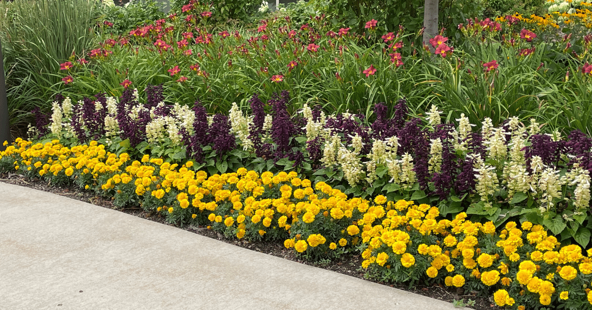 May Landscaping Tips | American Landscape