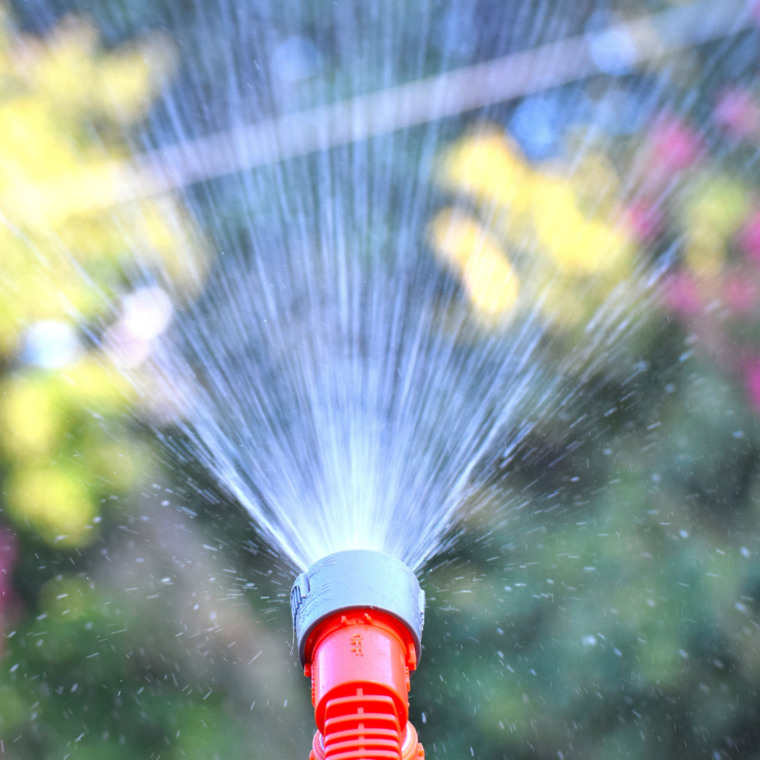 Caring for a Newly Seeded Lawn | American Landscape